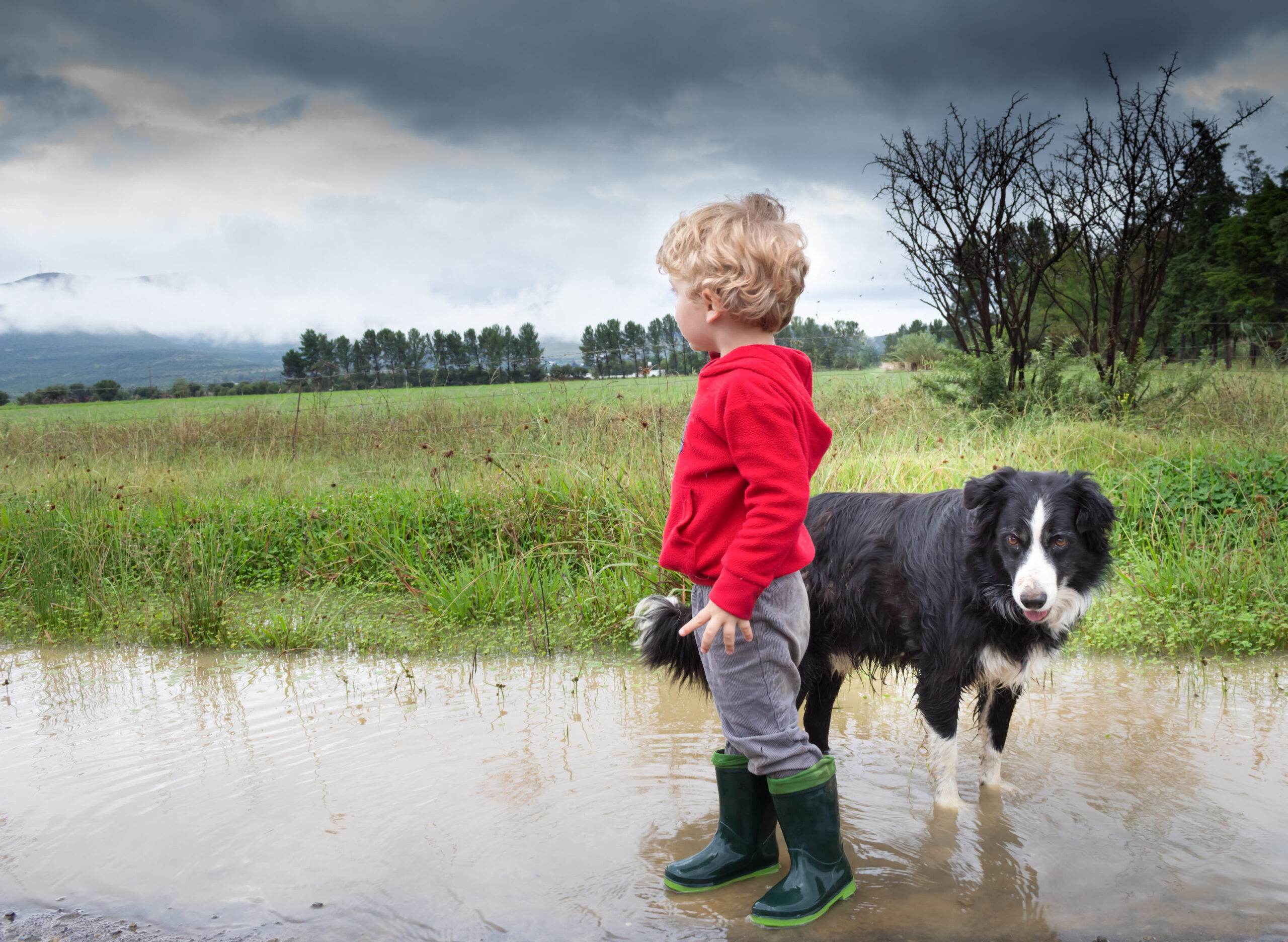 Preparing Kids for Hurricanes (Without Freaking Them Out)